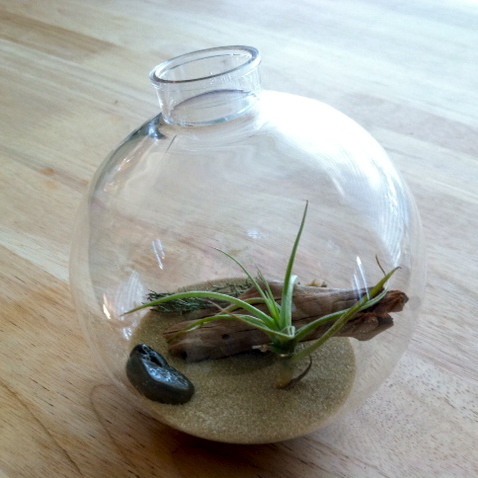 Ornament Terrarium | Fun Family Crafts