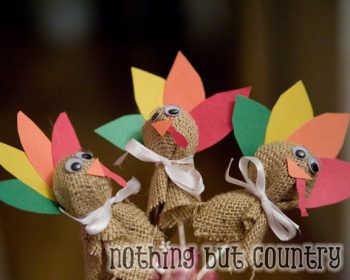 Turkey Lollipop Covers | Fun Family Crafts