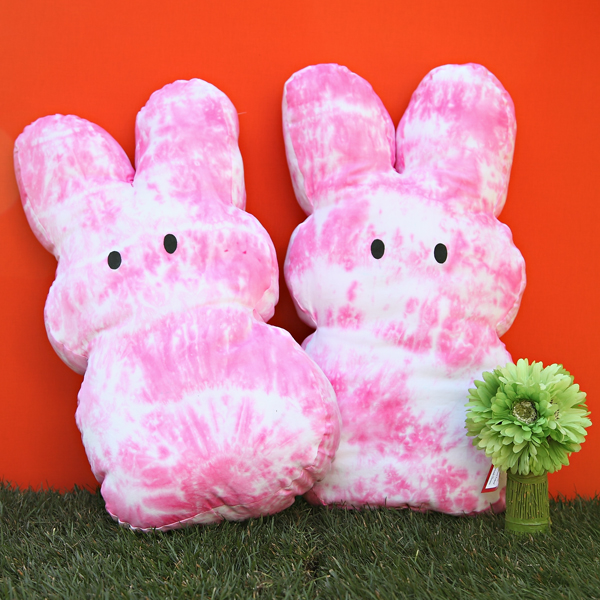 Cuddle Bunny | Fun Family Crafts