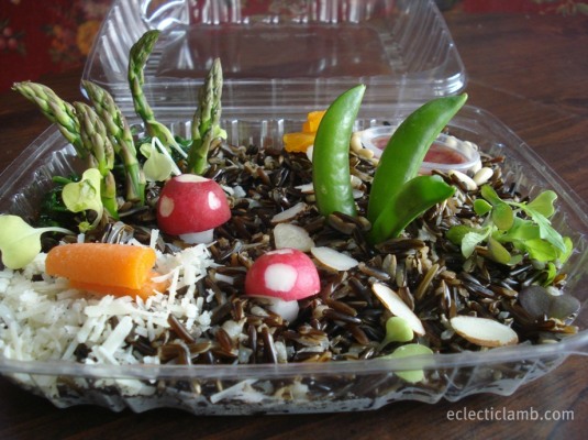 Terrarium Bento | Fun Family Crafts
