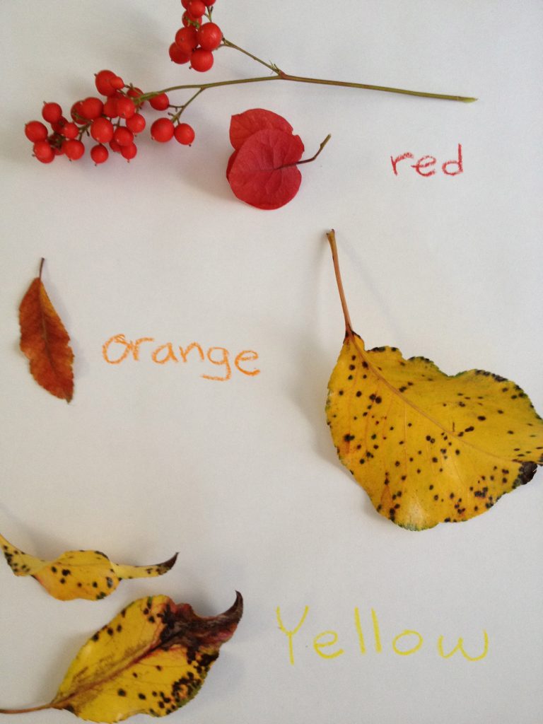 Rainbow Scavenger Hunt | Fun Family Crafts