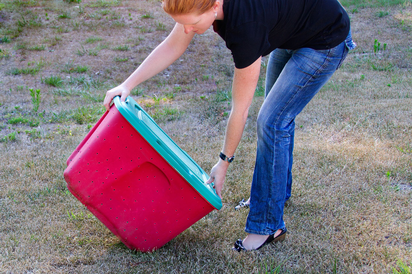 Compost Bin | Fun Family Crafts