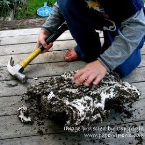 Dino Fossils | Fun Family Crafts