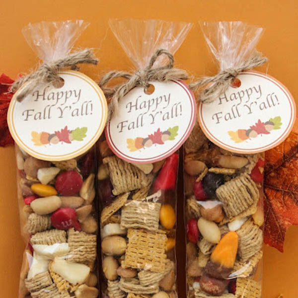 Fall Trail Mix and Printable | Fun Family Crafts