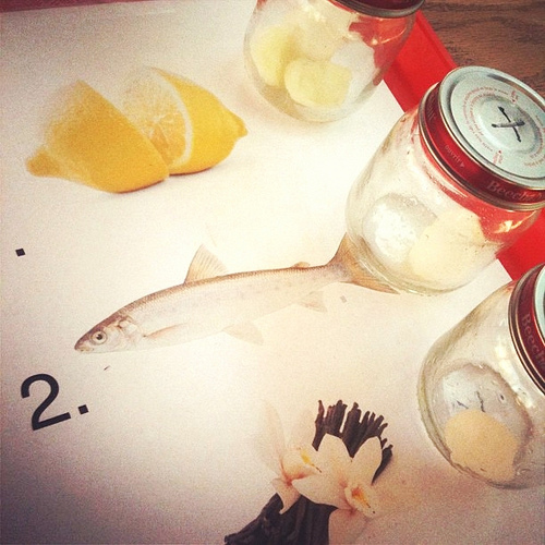 Smelly Game | Fun Family Crafts