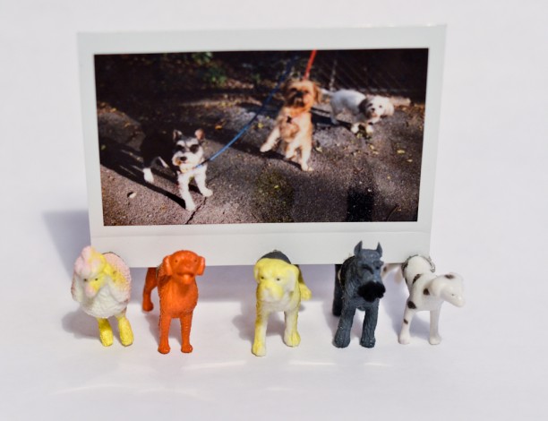 Dog Photo Stand | Fun Family Crafts