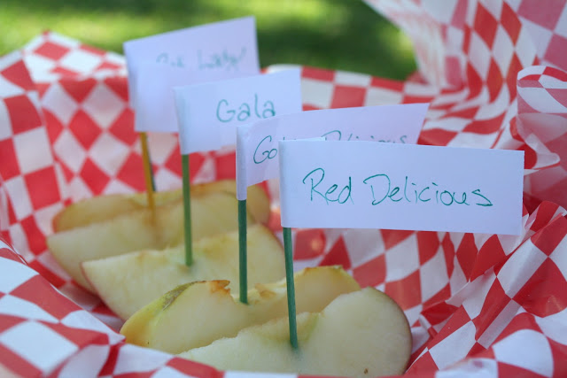 Apple Taste Test | Fun Family Crafts