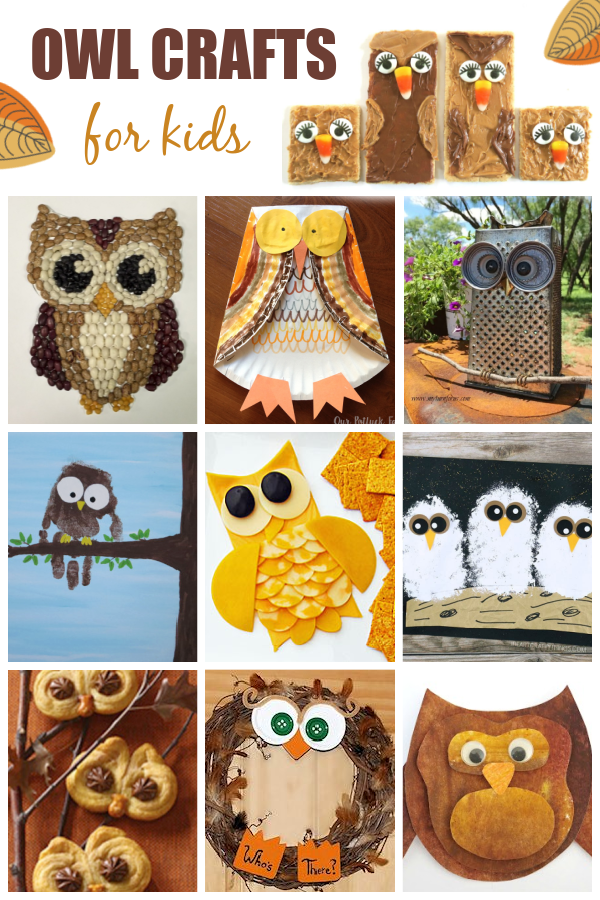 Owl Crafts & Recipes | Fun Family Crafts
