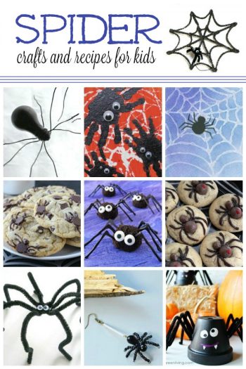 Spider Crafts & Recipes | Fun Family Crafts