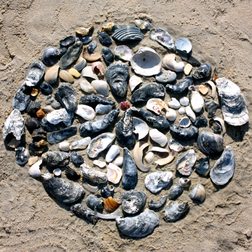 Outdoor Shell Sculpture | Fun Family Crafts