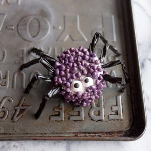Candy-Coated Marshmallow Spiders | Fun Family Crafts