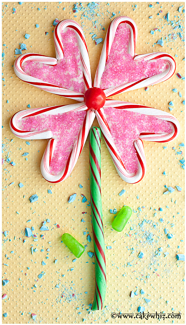 Candy Cane Flower Puzzle | Fun Family Crafts