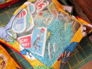 Dr. Seuss I-Spy Bag | Fun Family Crafts