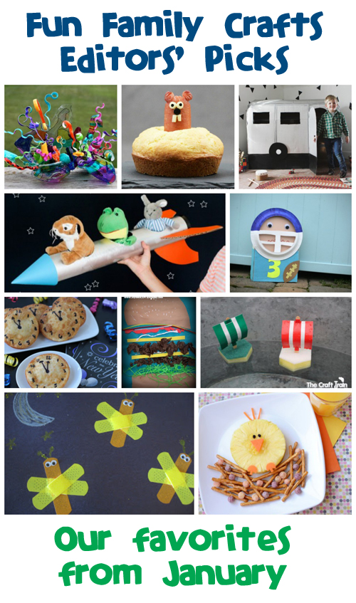Editors' Picks: January 2014 | Fun Family Crafts