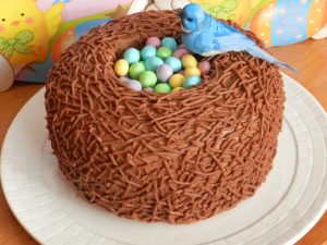 Bird Nest Cake | Fun Family Crafts