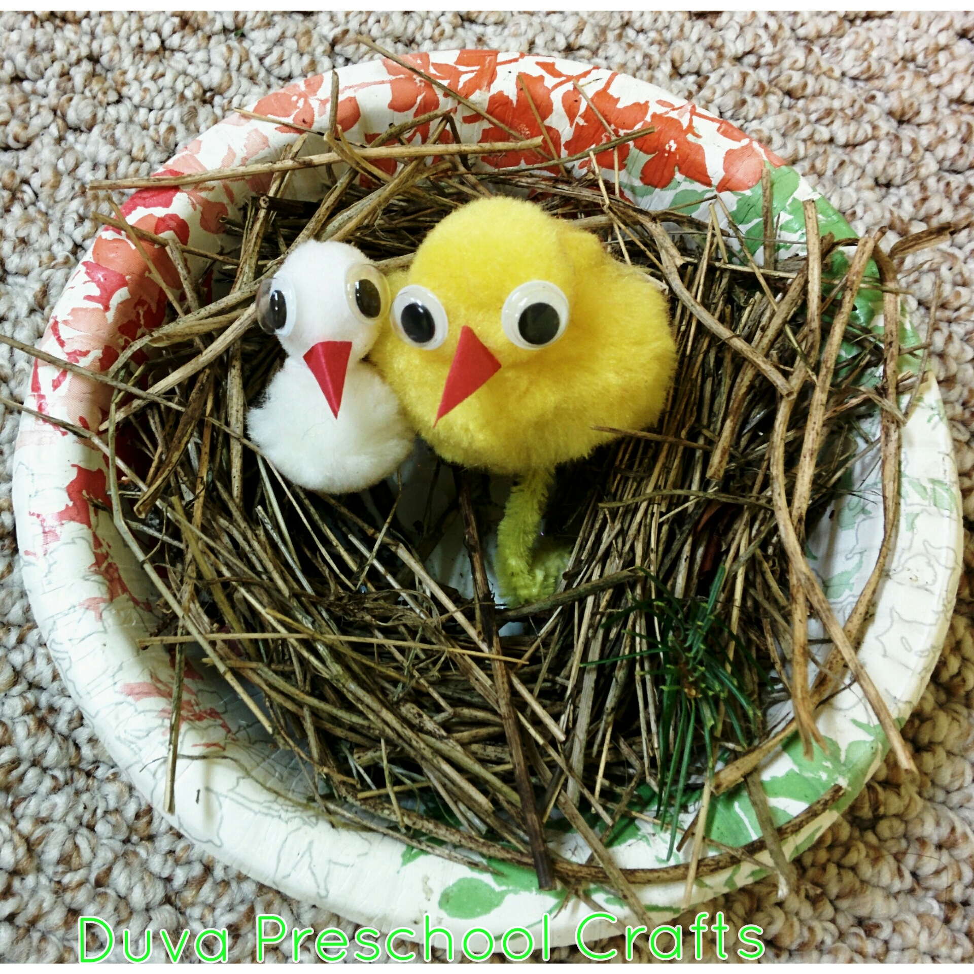 Pom Pom Birds in a Nest | Fun Family Crafts