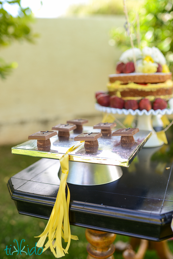 Graduation Cap Cake Stand | Fun Family Crafts