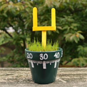 Mini Football Field Craft | Fun Family Crafts