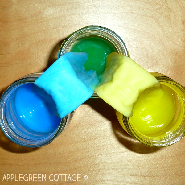 Color Mixing Experiment | Fun Family Crafts
