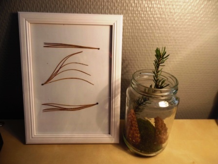 Nature in a Frame | Fun Family Crafts