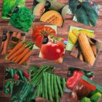 Garden Seed Packet Match | Fun Family Crafts