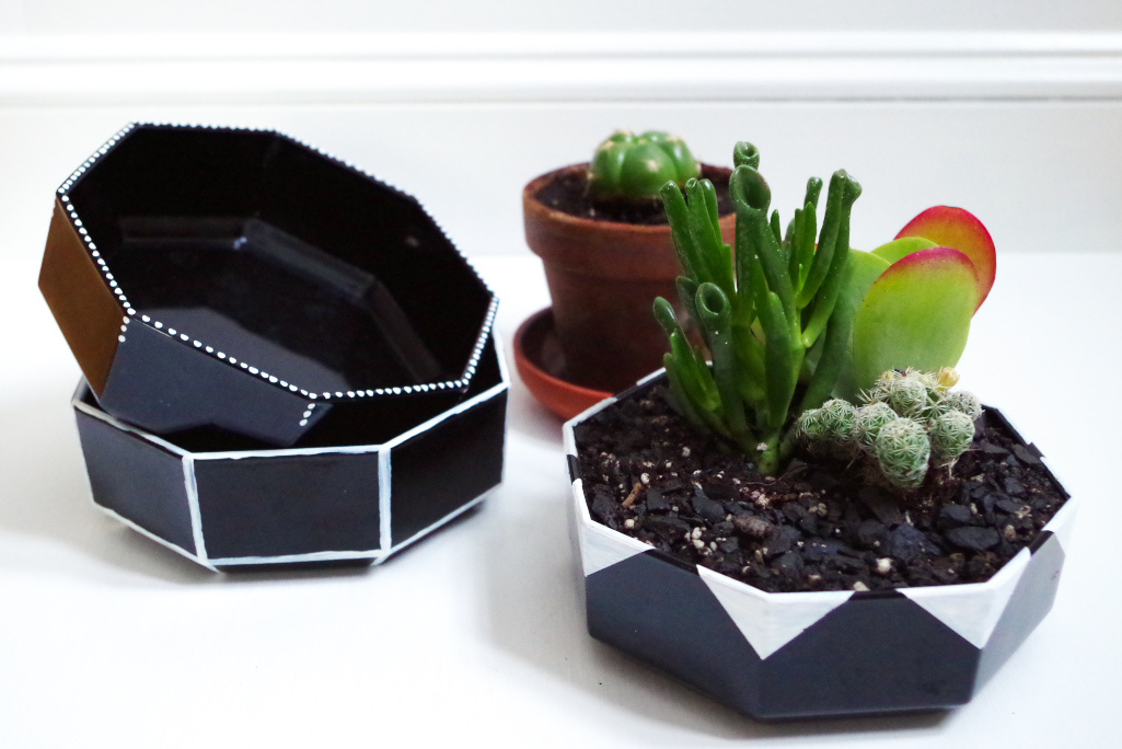 Graphic Planters | Fun Family Crafts