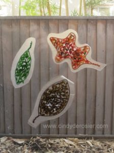 Colored Rice Leaves | Fun Family Crafts