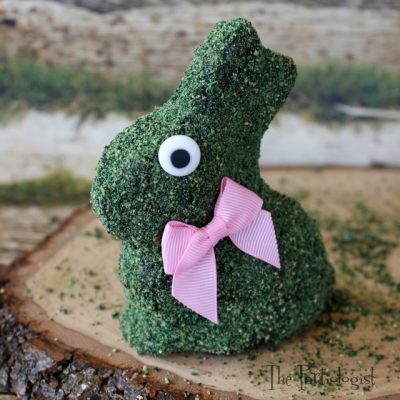 Chocolate Bunny with Edible 'Moss' | Fun Family Crafts