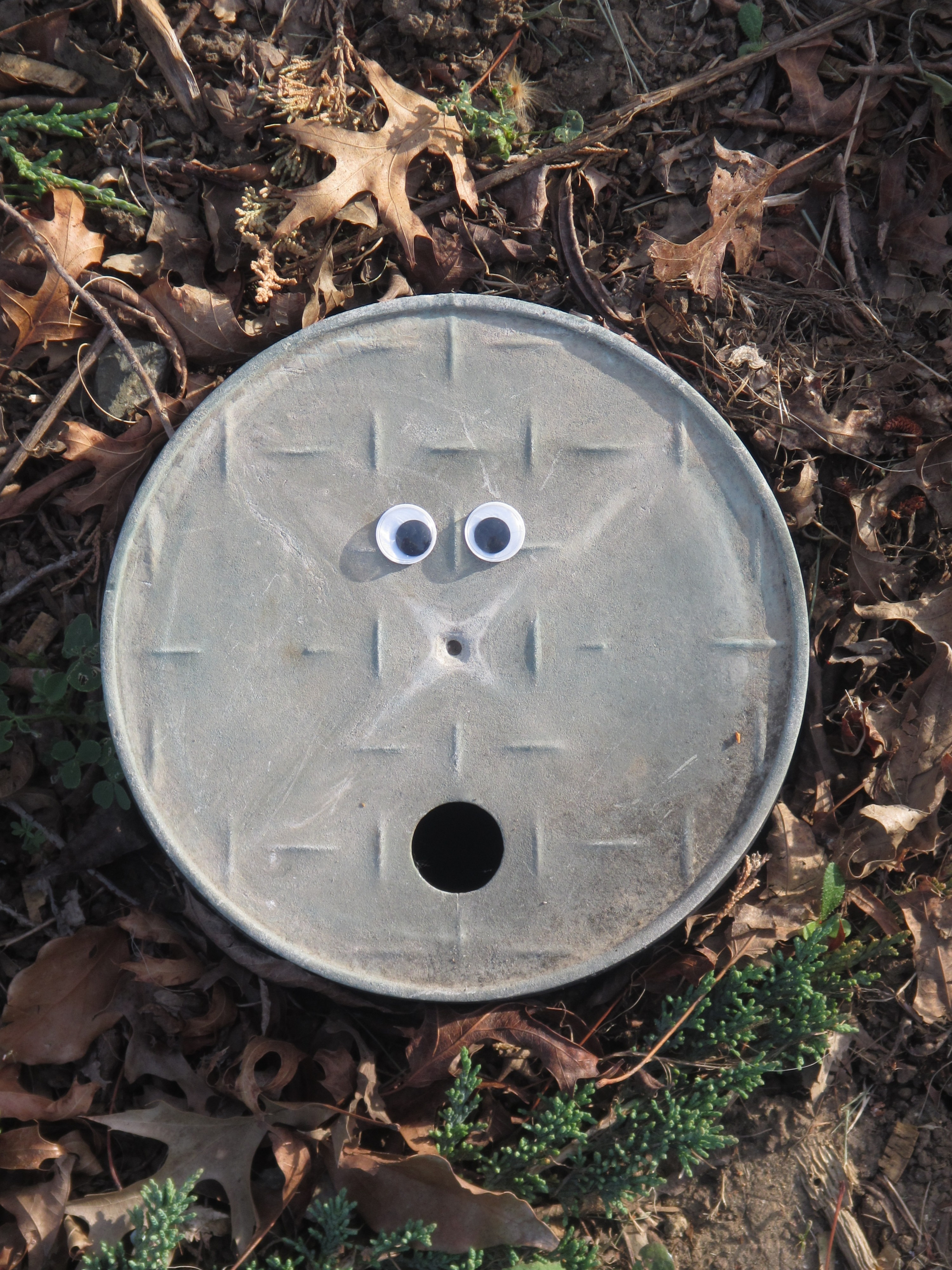 Eye Bombing Photography Challenge | Fun Family Crafts