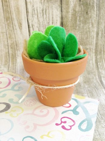 Felt Succulent | Fun Family Crafts