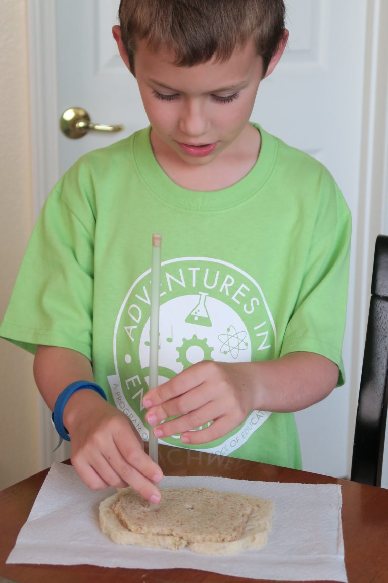 Sedimentary Rock Experiment | Fun Family Crafts