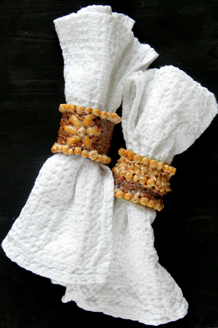 Nuts and Seeds Napkin Ring | Fun Family Crafts