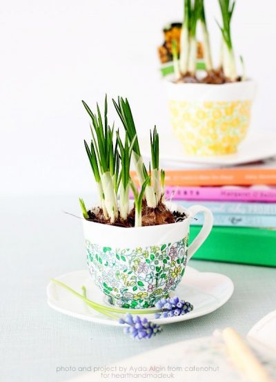Teacup Planters | Fun Family Crafts