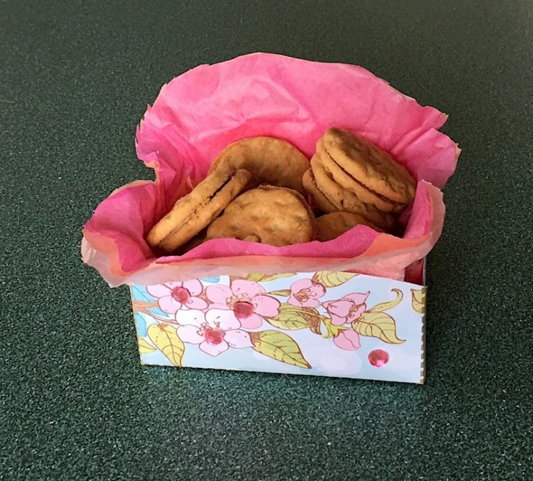 Cookie Gift Box | Fun Family Crafts