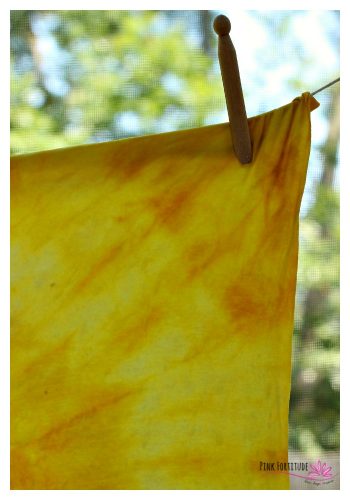 Turmeric-Dyed T-Shirt | Fun Family Crafts
