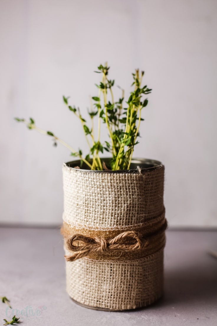 DIY Herb Pot | Fun Family Crafts