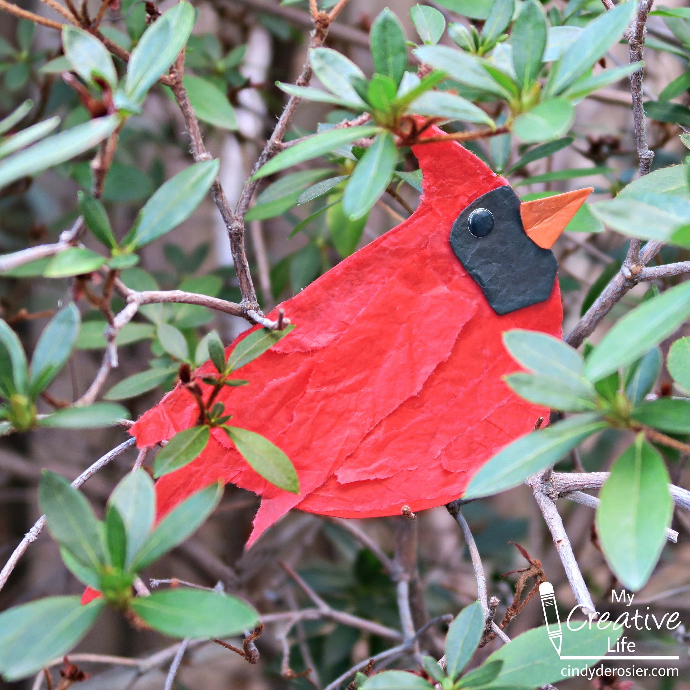 Tissue Paper Cardinal | Fun Family Crafts