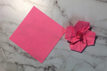 Origami Paper Spinner | Fun Family Crafts