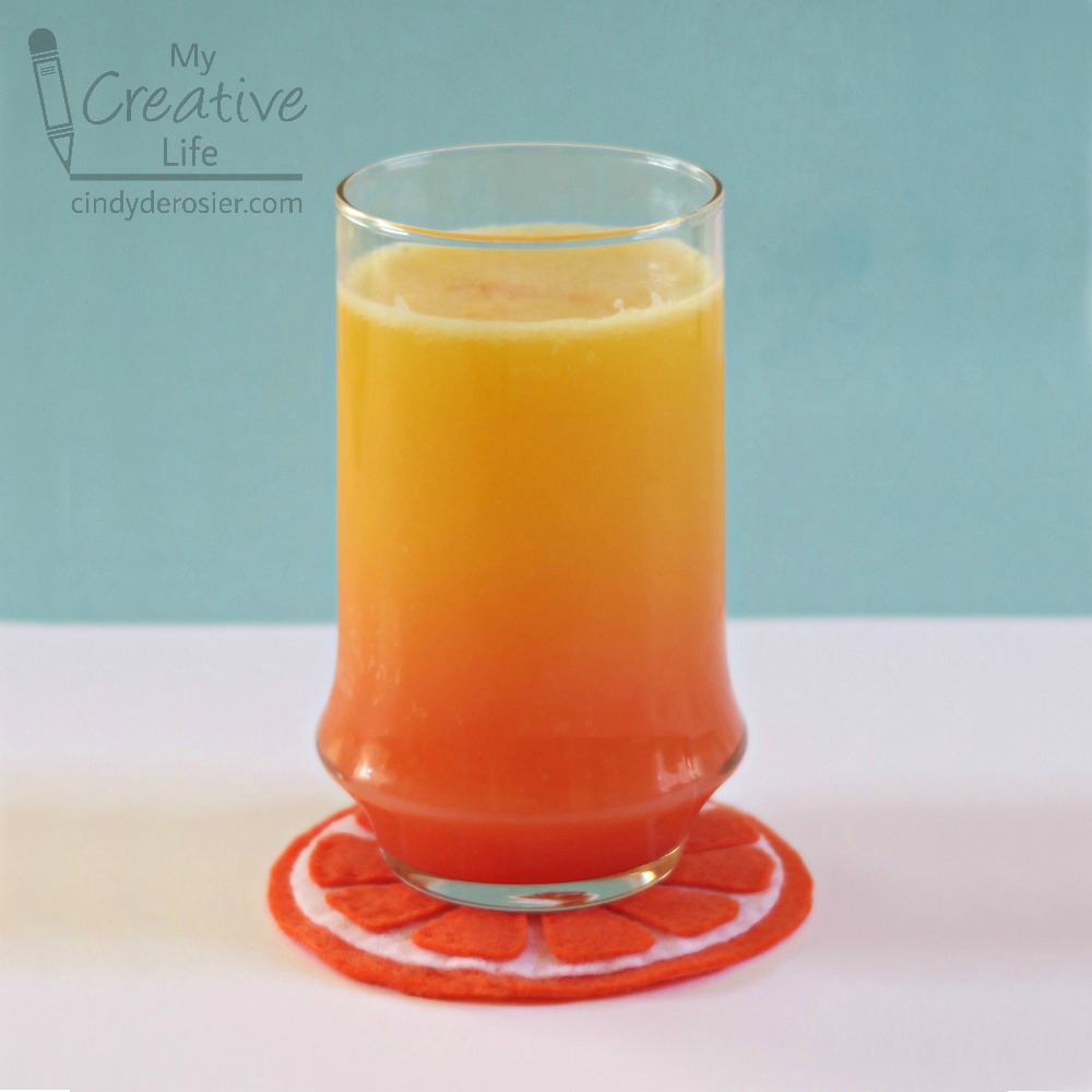 Felt Orange Slice Coaster | Fun Family Crafts