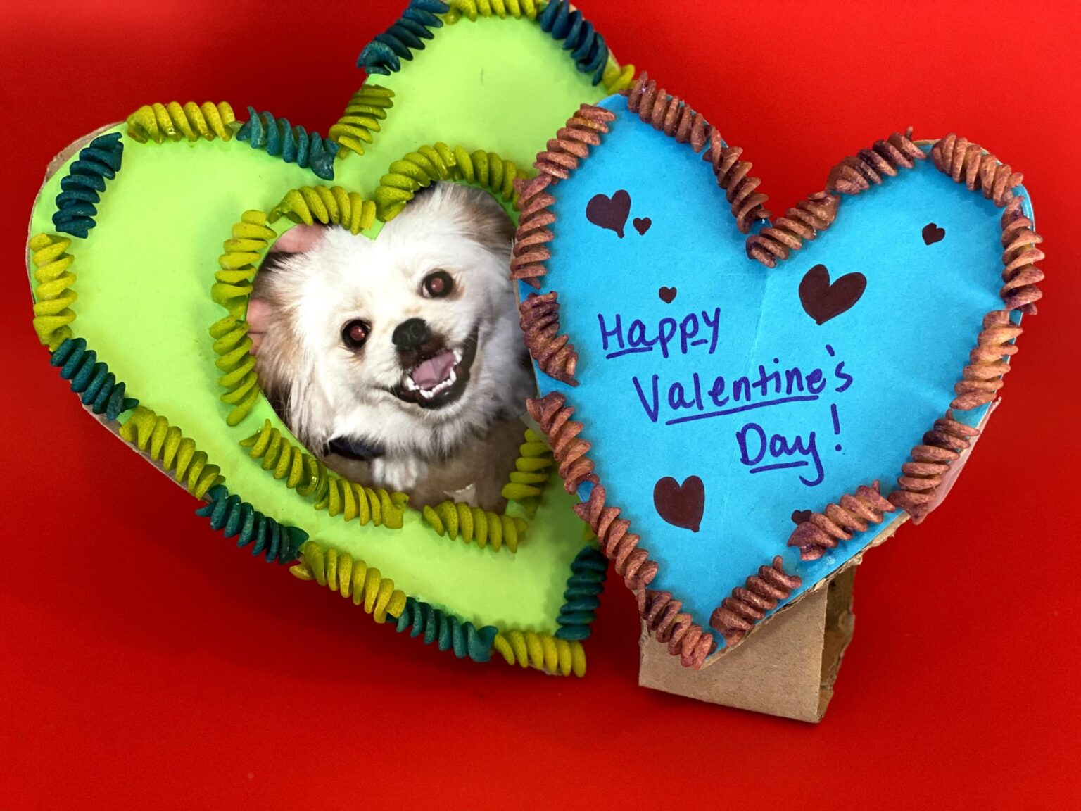 Colored Pasta Heart Frames | Fun Family Crafts