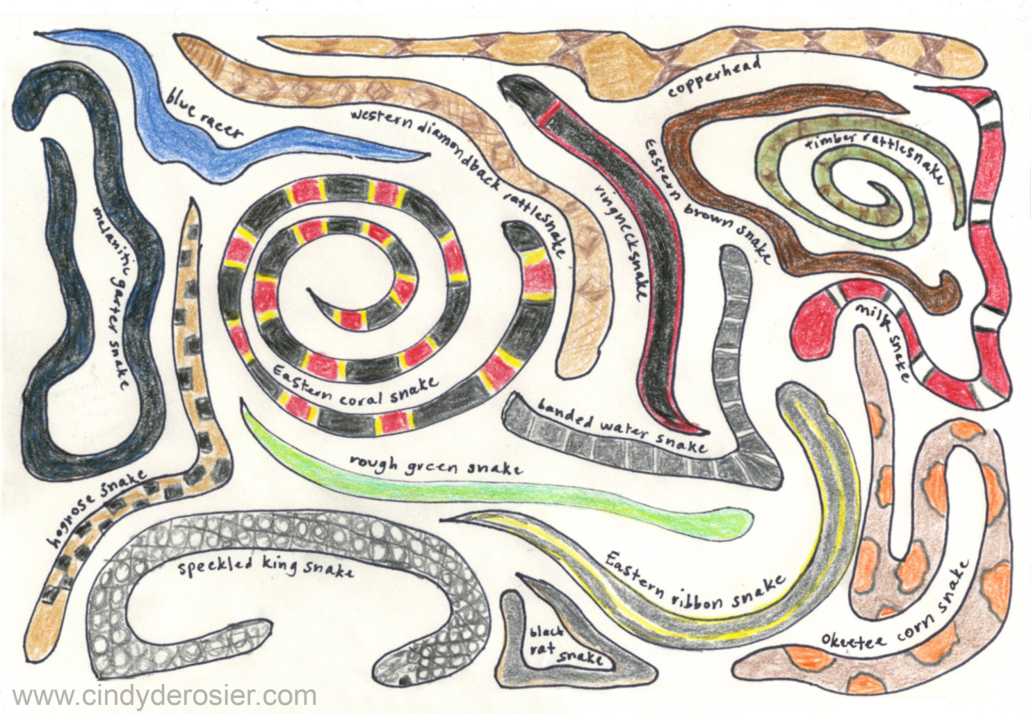 Snake Doodle | Fun Family Crafts