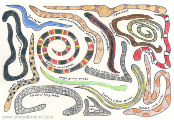 Snake Doodle | Fun Family Crafts
