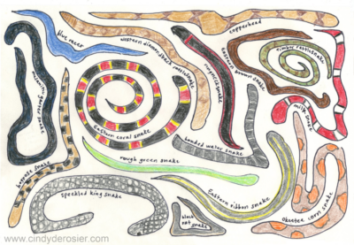 Snake Doodle | Fun Family Crafts