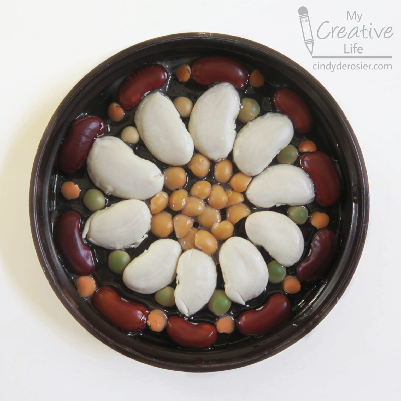 Bean Mosaic Coaster | Fun Family Crafts