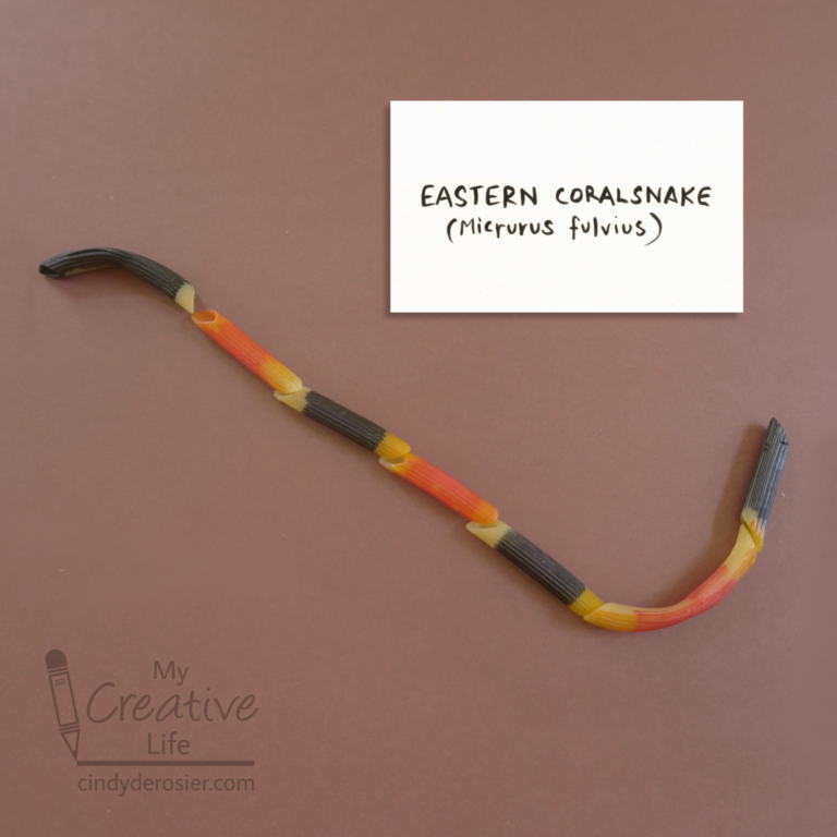 Dried Pasta Coral Snake | Fun Family Crafts