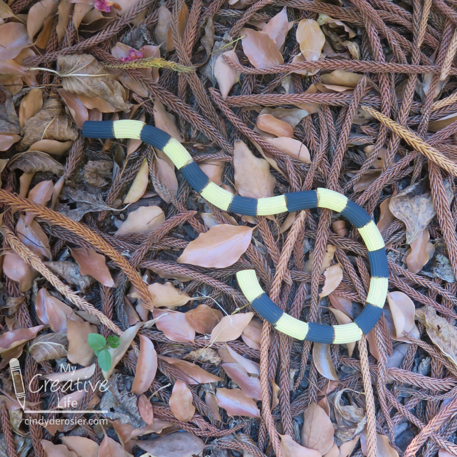 Pasta Shovel-Nosed Snake | Fun Family Crafts