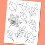 Printable fall leaves coloring page | Fun Family Crafts