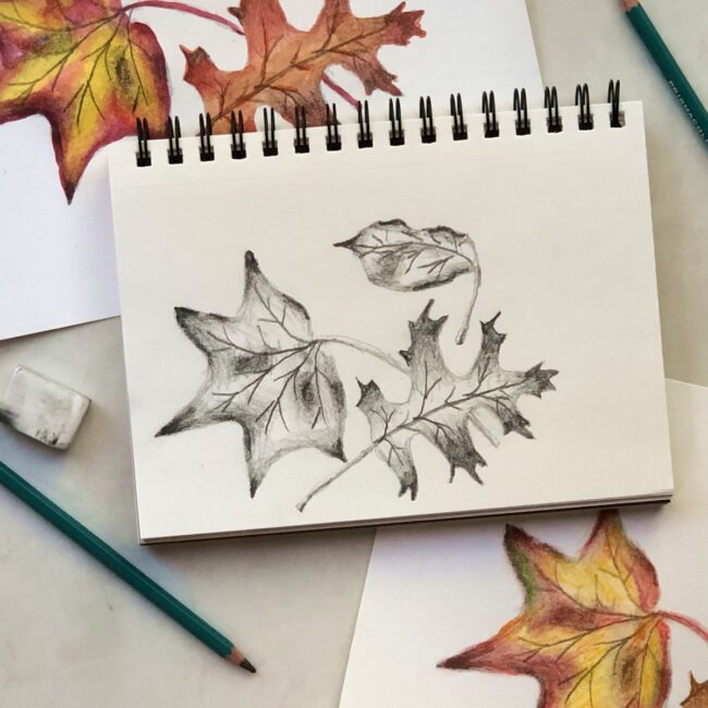 Draw Easy Fall Leaves | Fun Family Crafts